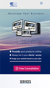 Expert Web Design Services USA | Professional Website Designers